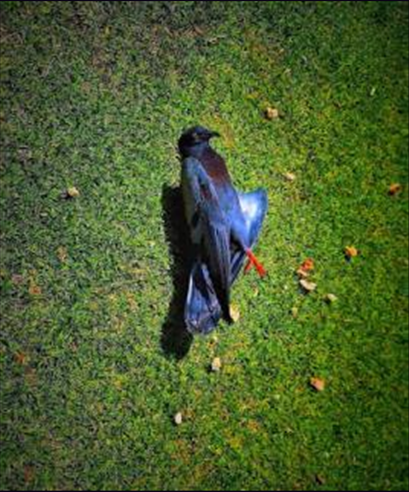 일상의 요소들을 예술로 승화시키는 작가, Samuel Min Suhr 사진전