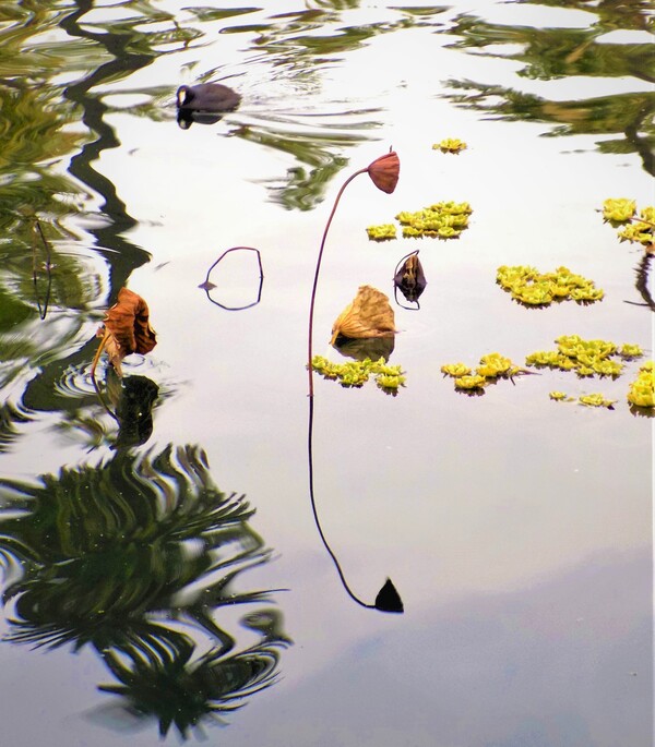 일상의 요소들을 예술로 승화시키는 작가, Samuel Min Suhr 사진전