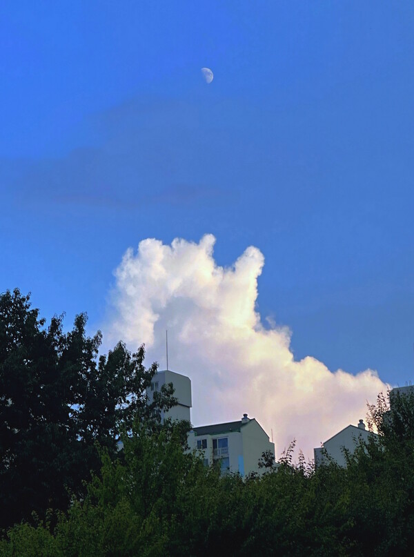 일상의 요소들을 예술로 승화시키는 작가, Samuel Min Suhr 사진전